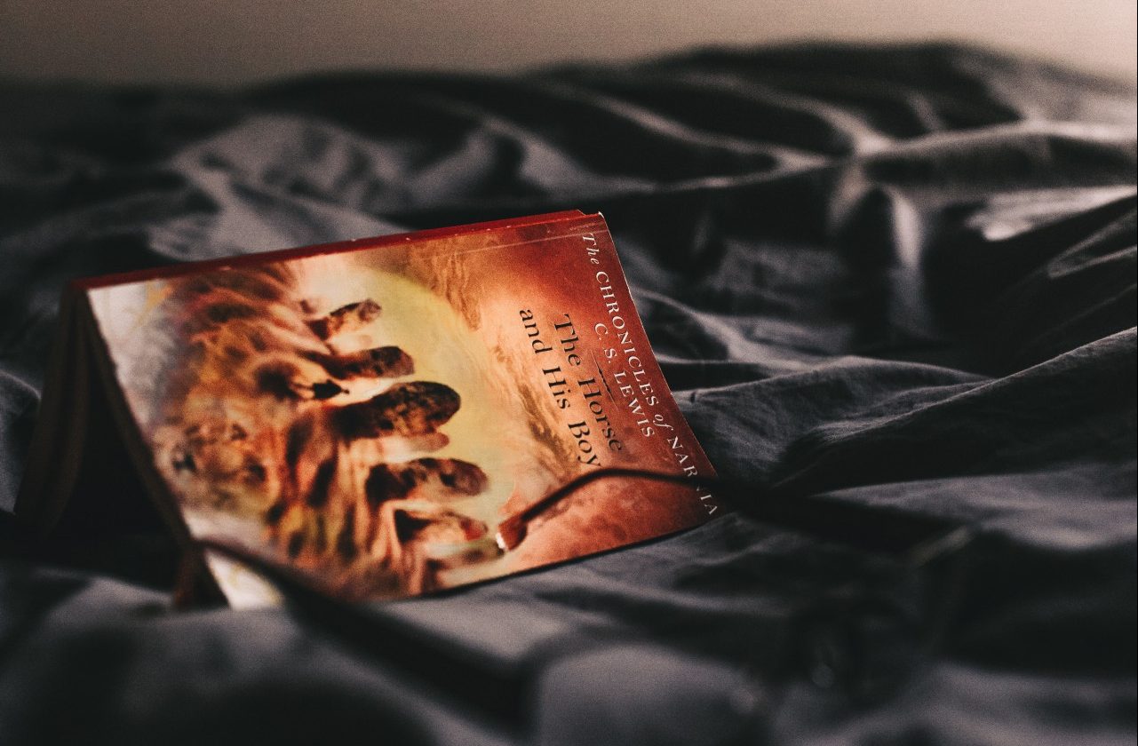 Fiction Teaches Me How to Feel - Boundless